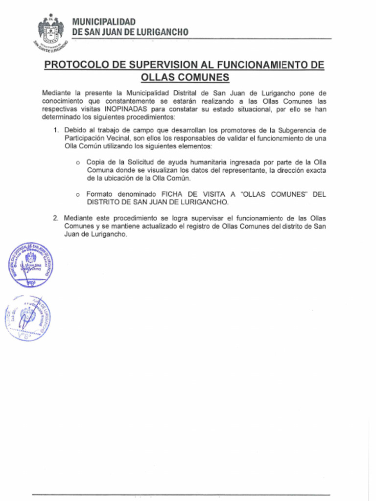 6 - Protocolo de Supervision Al Funcionamiento de Ollas Comunes | PDF