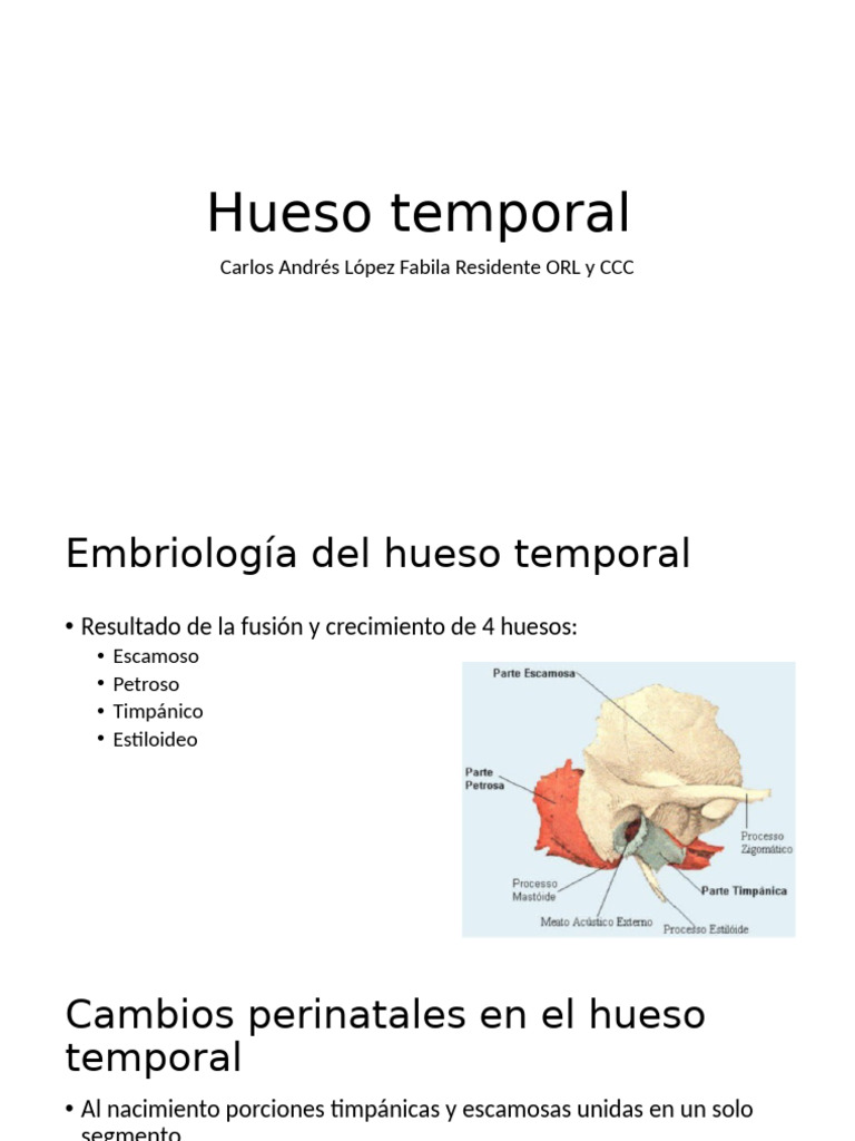anatomia hueso temporal | PDF
