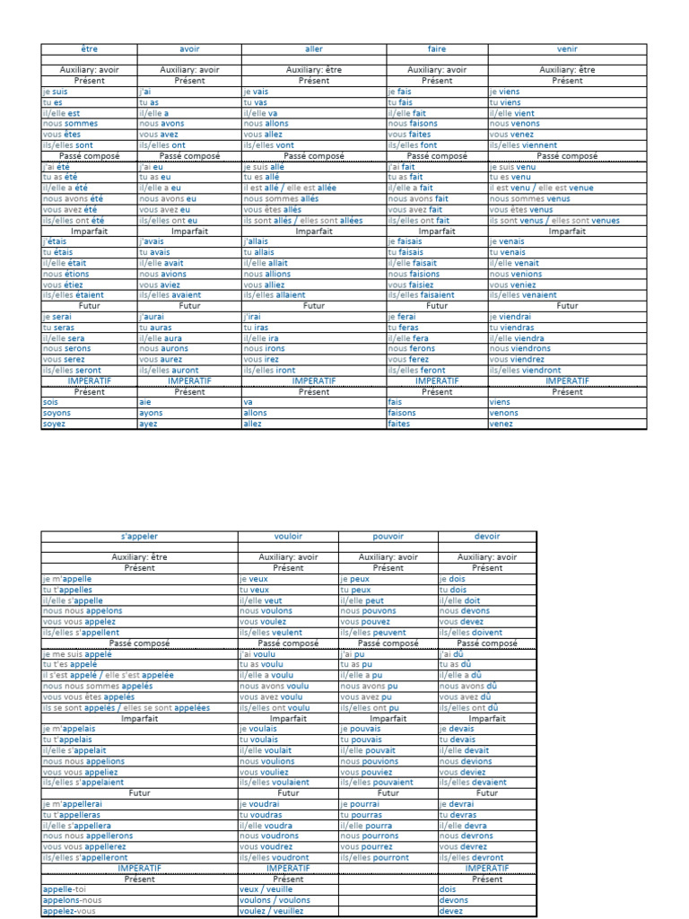 French Verbies | PDF