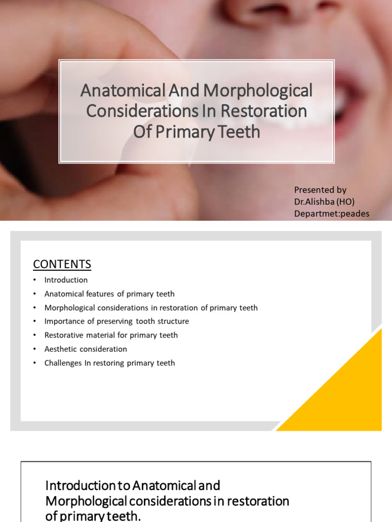 Anatomical And Morphological Considerations In Restoration Of Primary ...