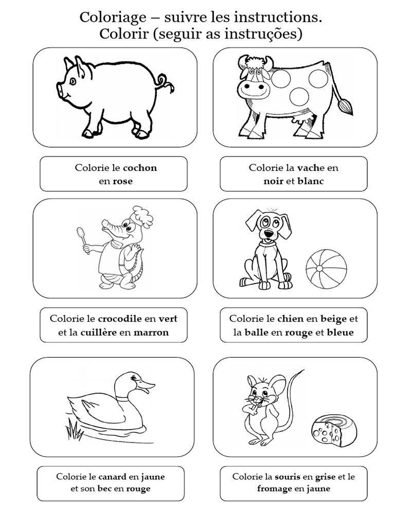 Les animaux et les couleurs | PDF