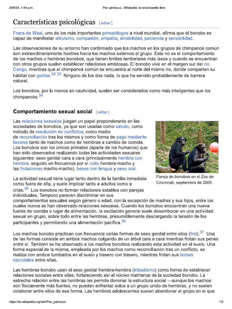 El Bonono. Fisiología y Comportamiento Social. Tarea Curso Animales | PDF