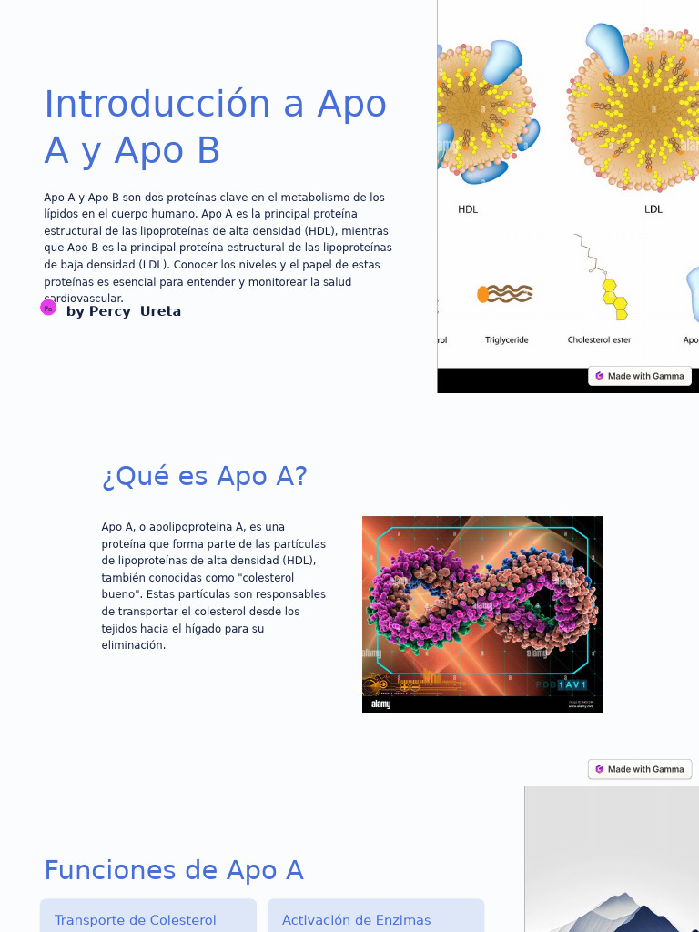 Introduccion A Apo A y Apo B | PDF