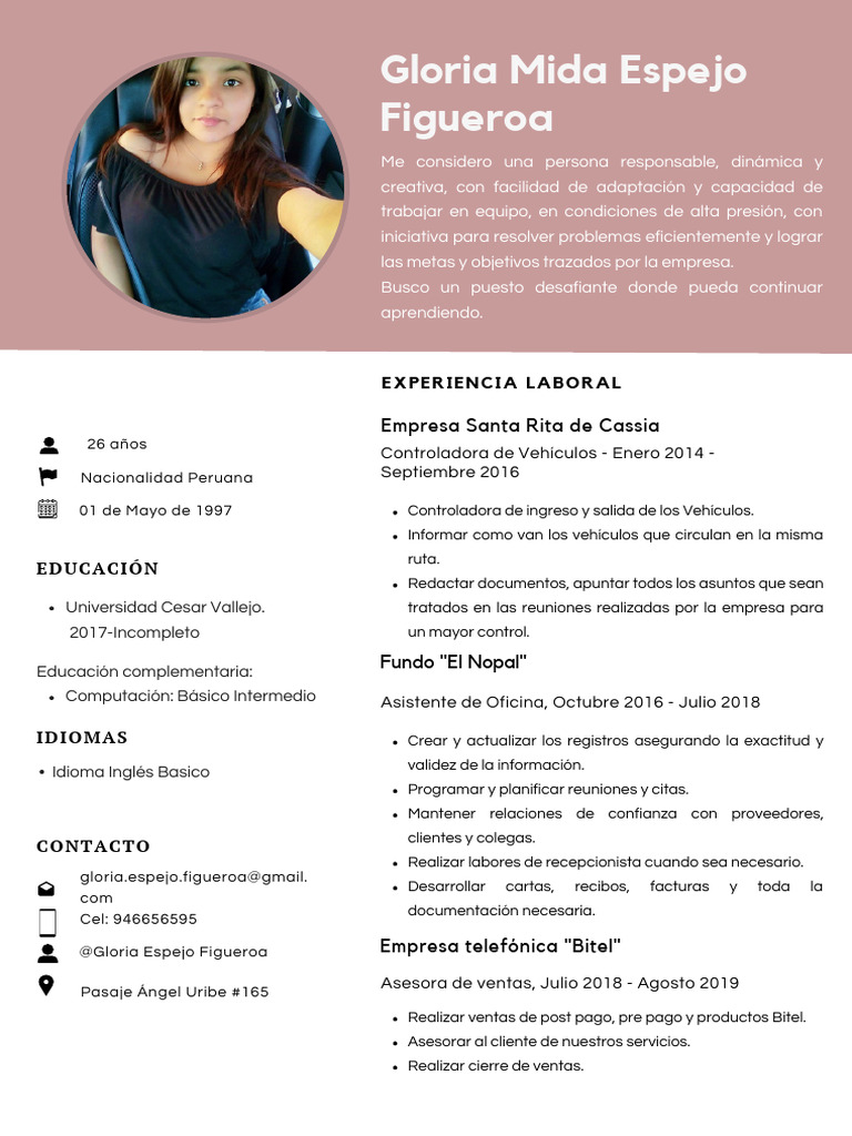 Perfil Profesional de Gloria Espejo | PDF | Business