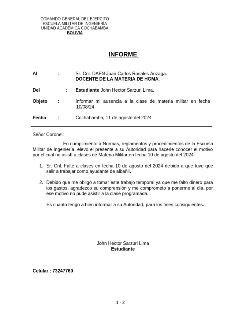 MODELO INFORME | PDF