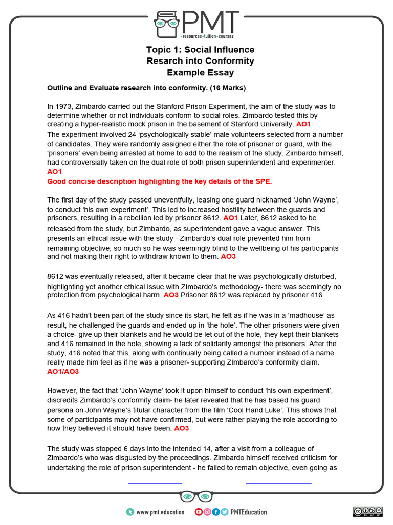 Social Influence-Example Essay | PDF