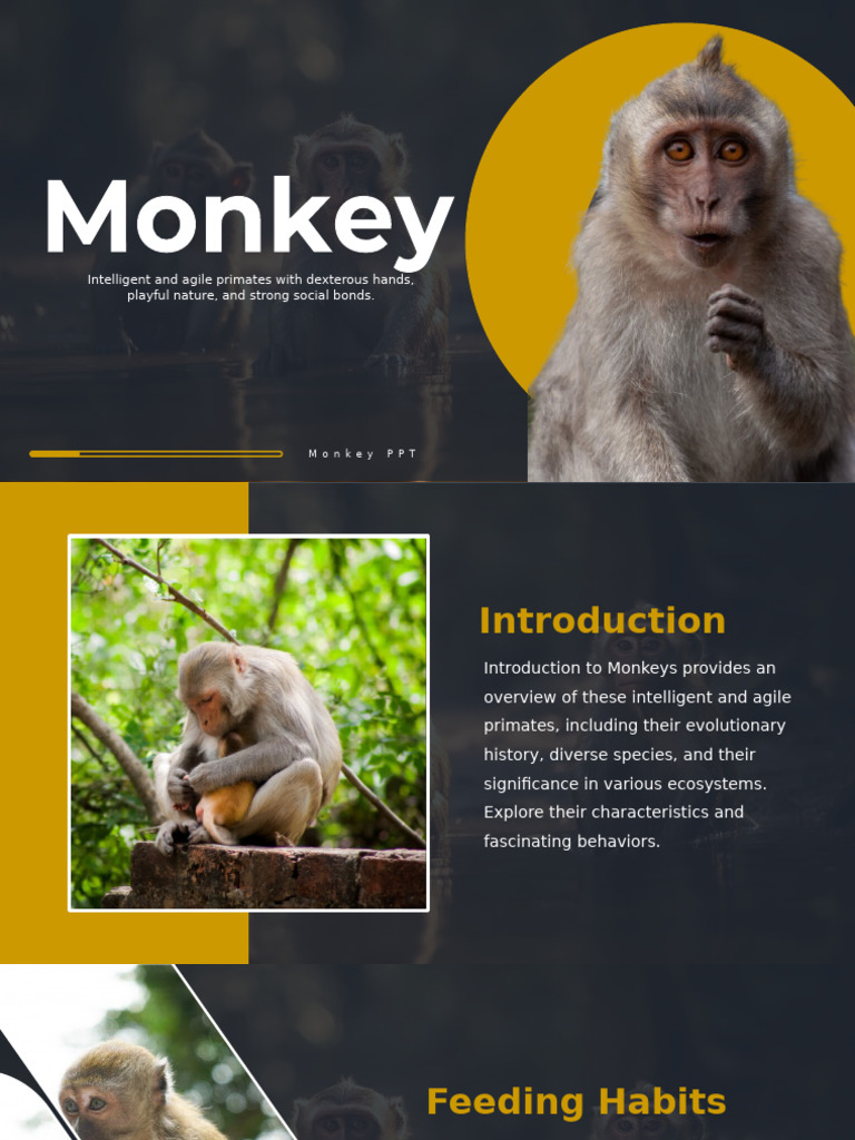 Slide - Egg 87851 Monkey | PDF