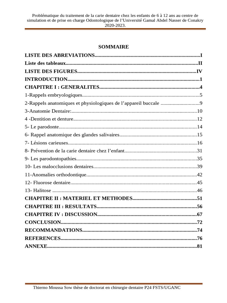 These de Memoire Moussa 2 | PDF