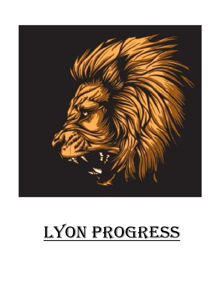 Lyon Progress 2024 | PDF