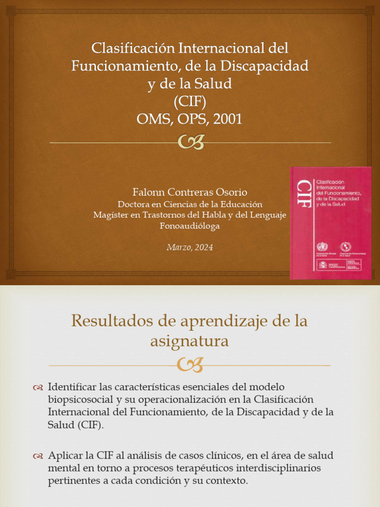 Clasificación Internacional Del Funcionamiento, de La Discapacidad 2024 | PDF