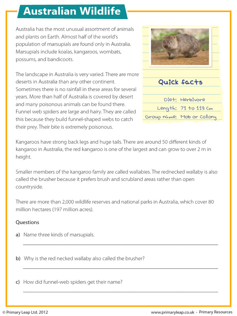 Australian Wildlife | PDF