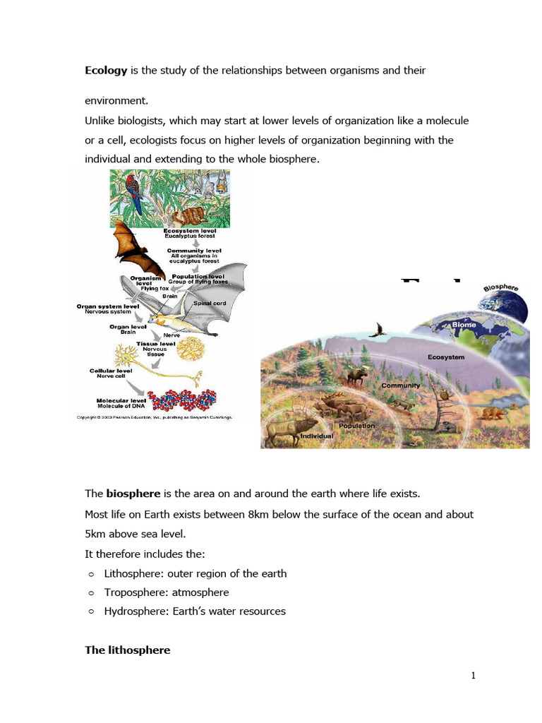 Ecology - Part 1 PDF | PDF