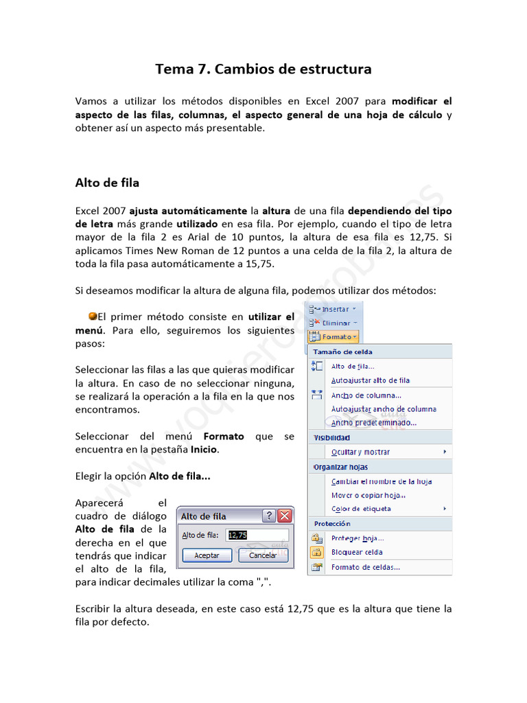 Manual e - X - C - e - L Basico-7 | PDF