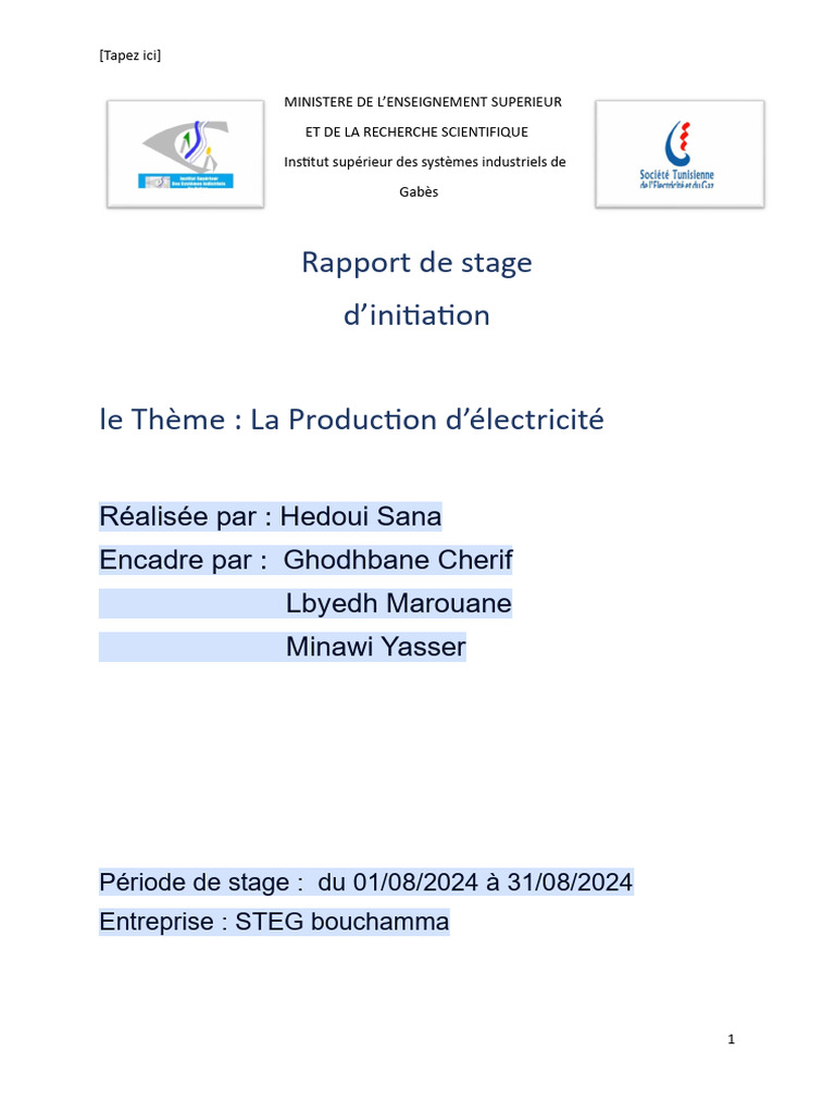 Rapport PDF | PDF