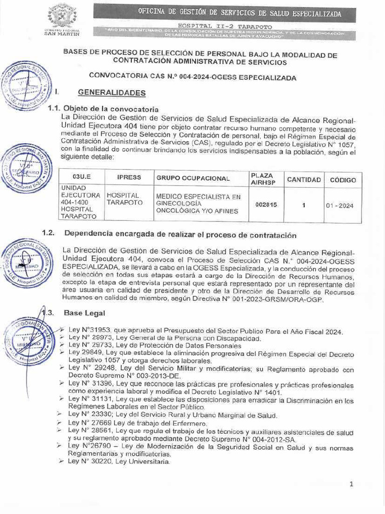Bases Del Proceso Cas 004-2024 | PDF Bases Del Proceso Cas 004-2024 | PDF