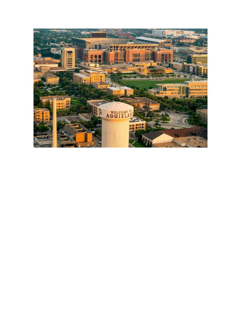Texas ATM | PDF