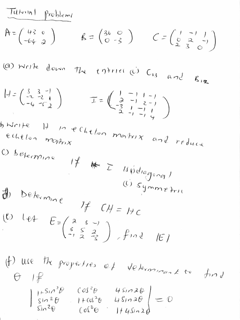 Echelon N Reduced Echelon Tut Qs | PDF