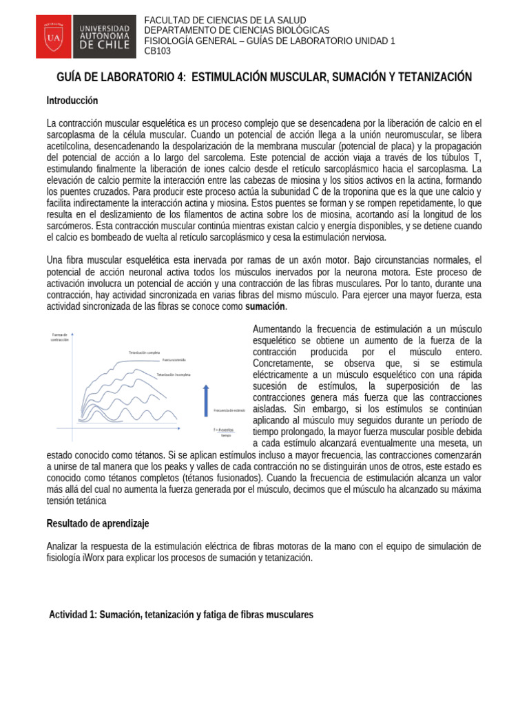 GU%C3%8DA+DE+LABORATORIO+4++ESTIMULACI%C3%93N+MUSCULAR%2C+SUMACI%C3%93N ...