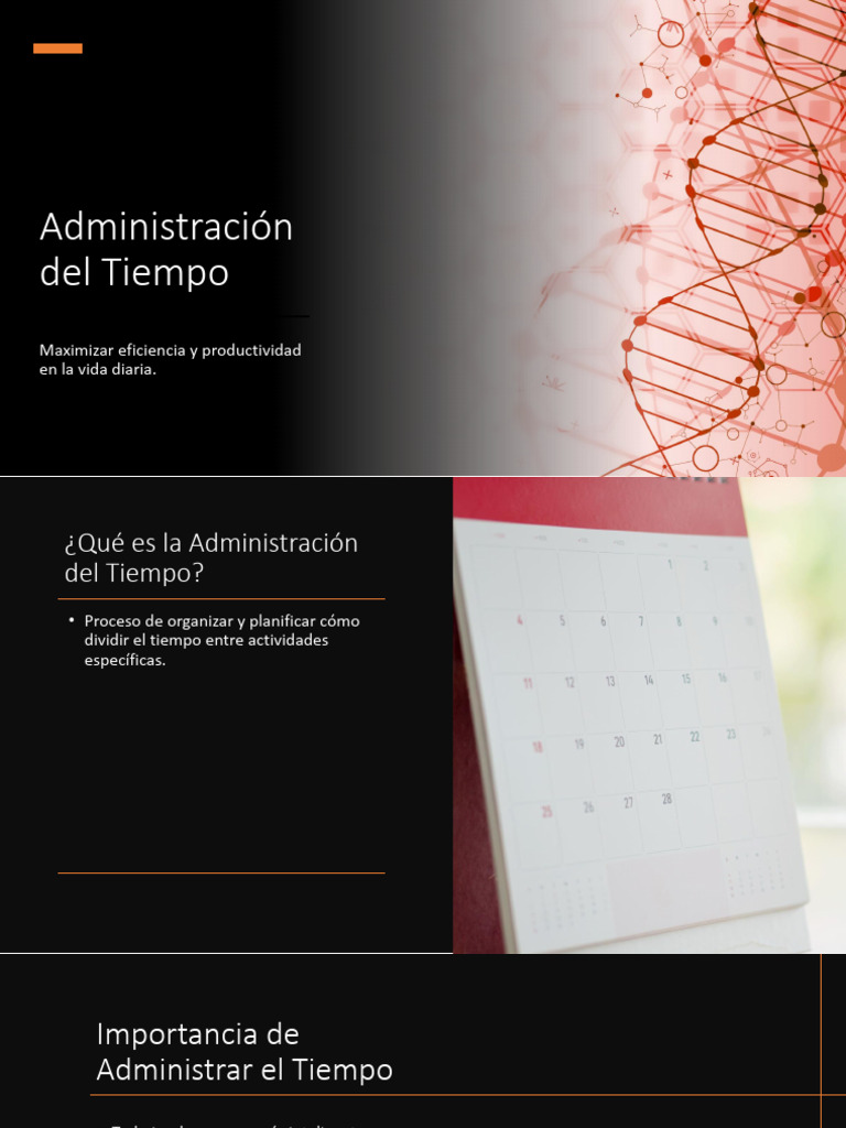 Manejo Del Tiempo | PDF