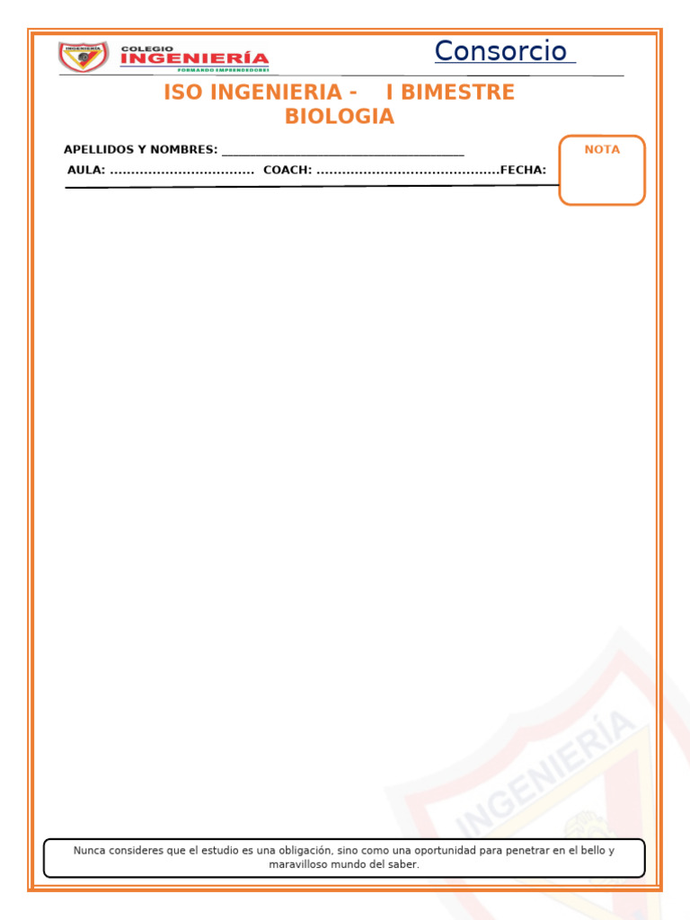 FORMATO DE ISO INGENIERIA 2024 secundaria | PDF