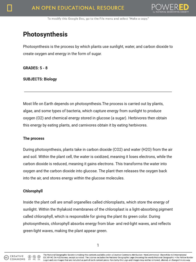 Photosynthesis (Oer) | PDF