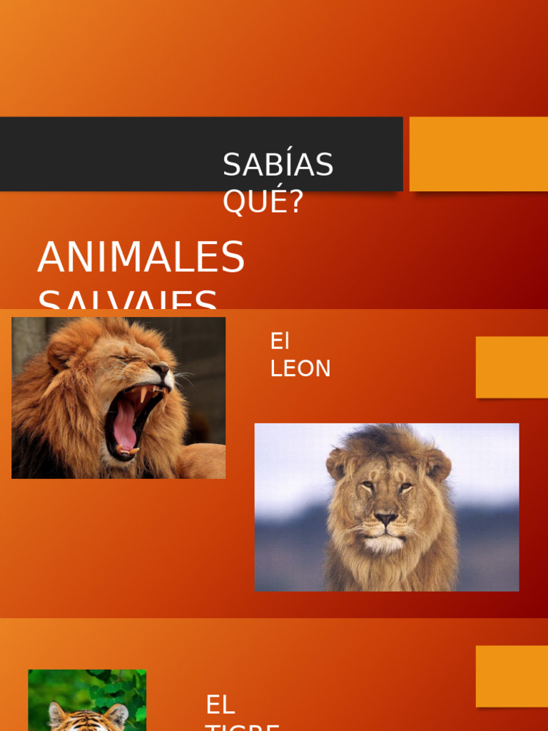 Vocabulario Animales Salvajes | PDF