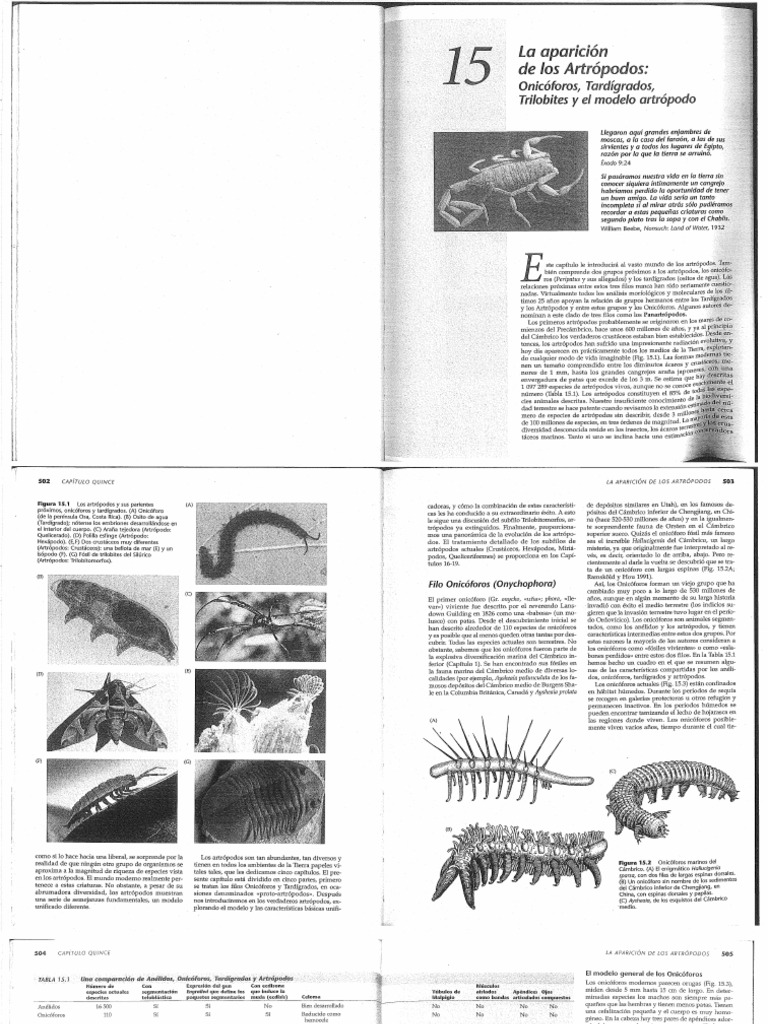 Tema 10 - Artropodos I - (Brusca) | PDF
