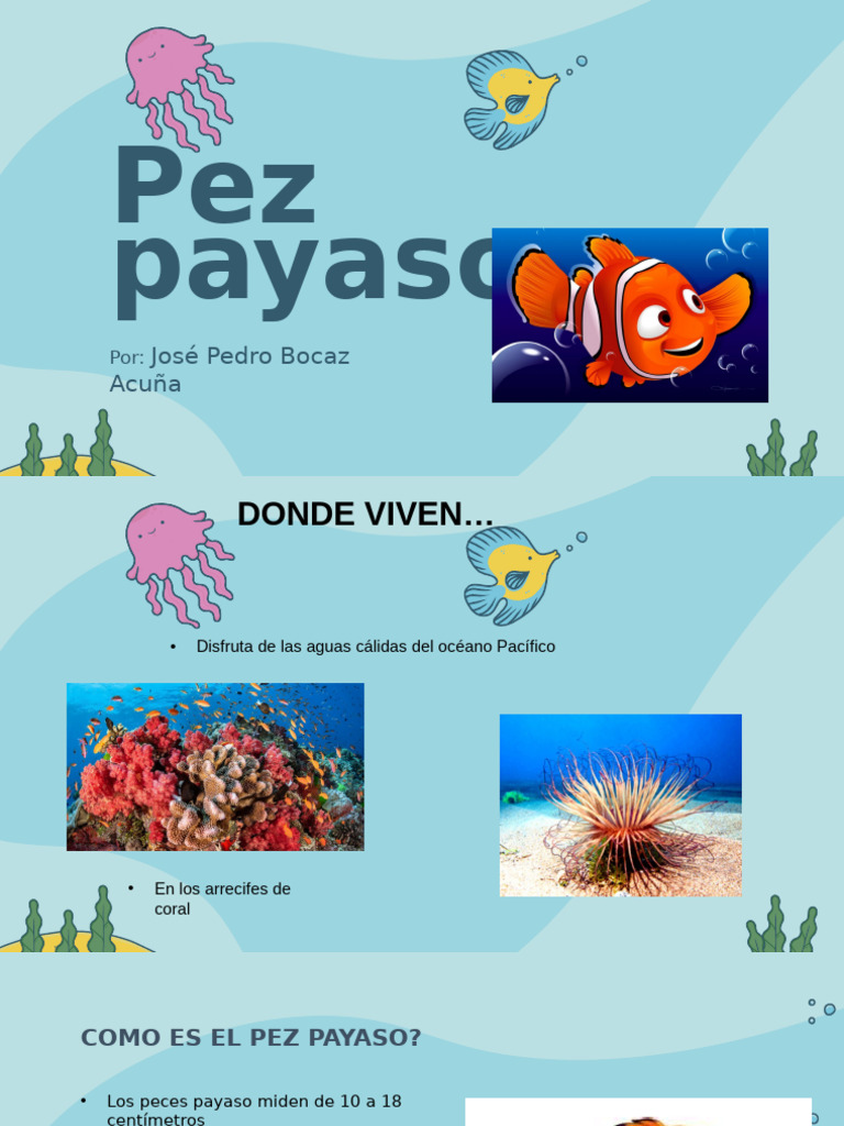 Disertación sobre el pez payaso para niños | PDF | Hogar, jardinería y ...