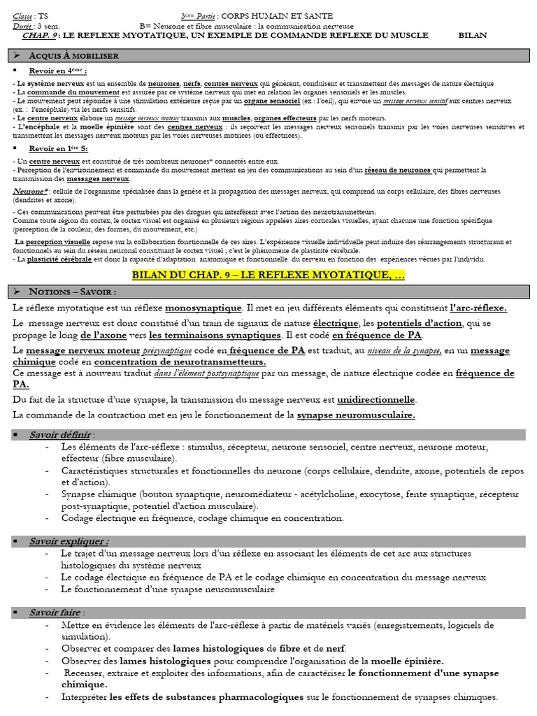 Le Reflexe Myotatique Fiche de Revision | PDF