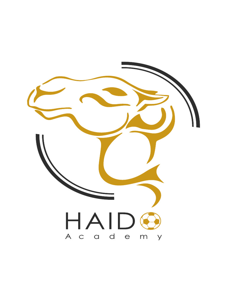 Haido Logo | PDF