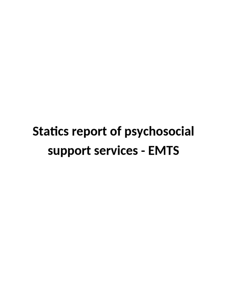 Static Report- EMTS | PDF