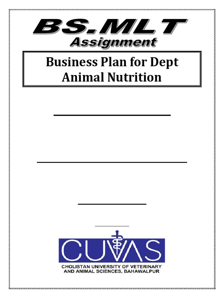 Business Plan Corn Silage | PDF