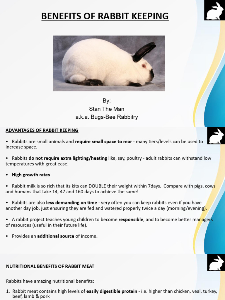 Benefits of Rabbit Keeping-1 | PDF