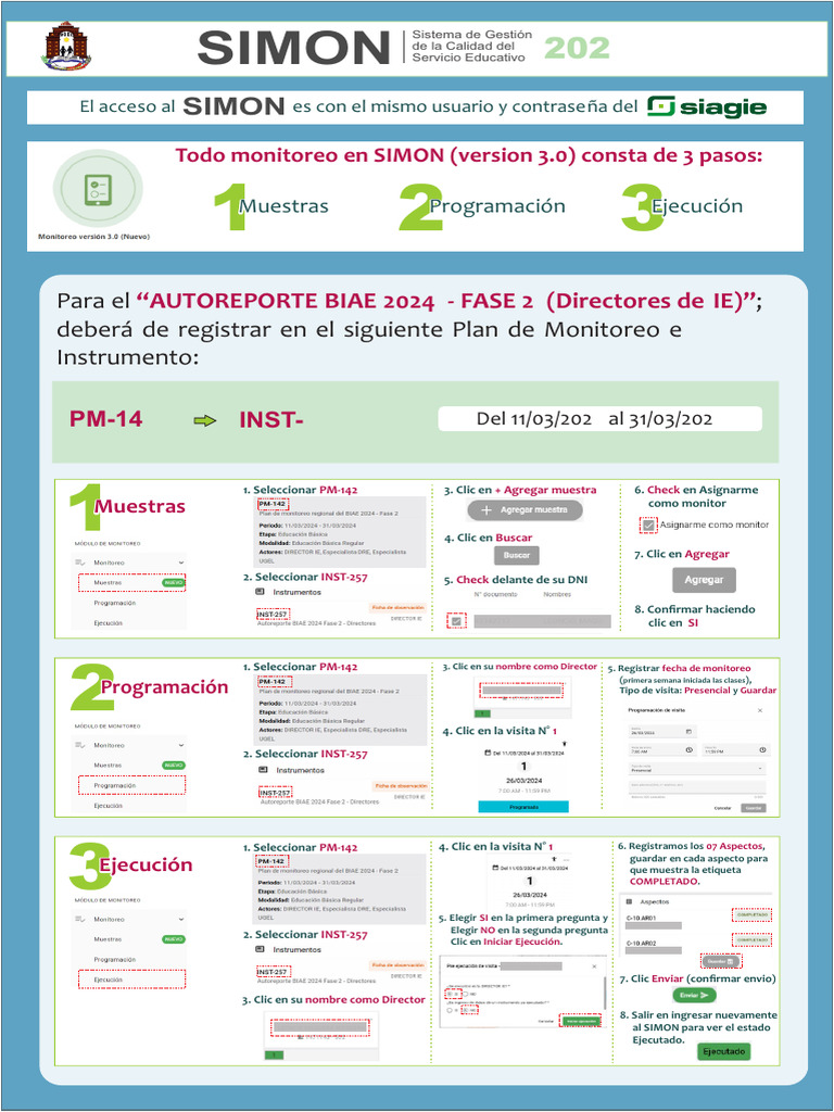 SIMON-2024-PM-142-INST-257-Autoreporte-BIAE-fase-2 | PDF