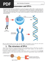 8th Grade Science-Genetics and Heredity | PDF | Rna | Gene