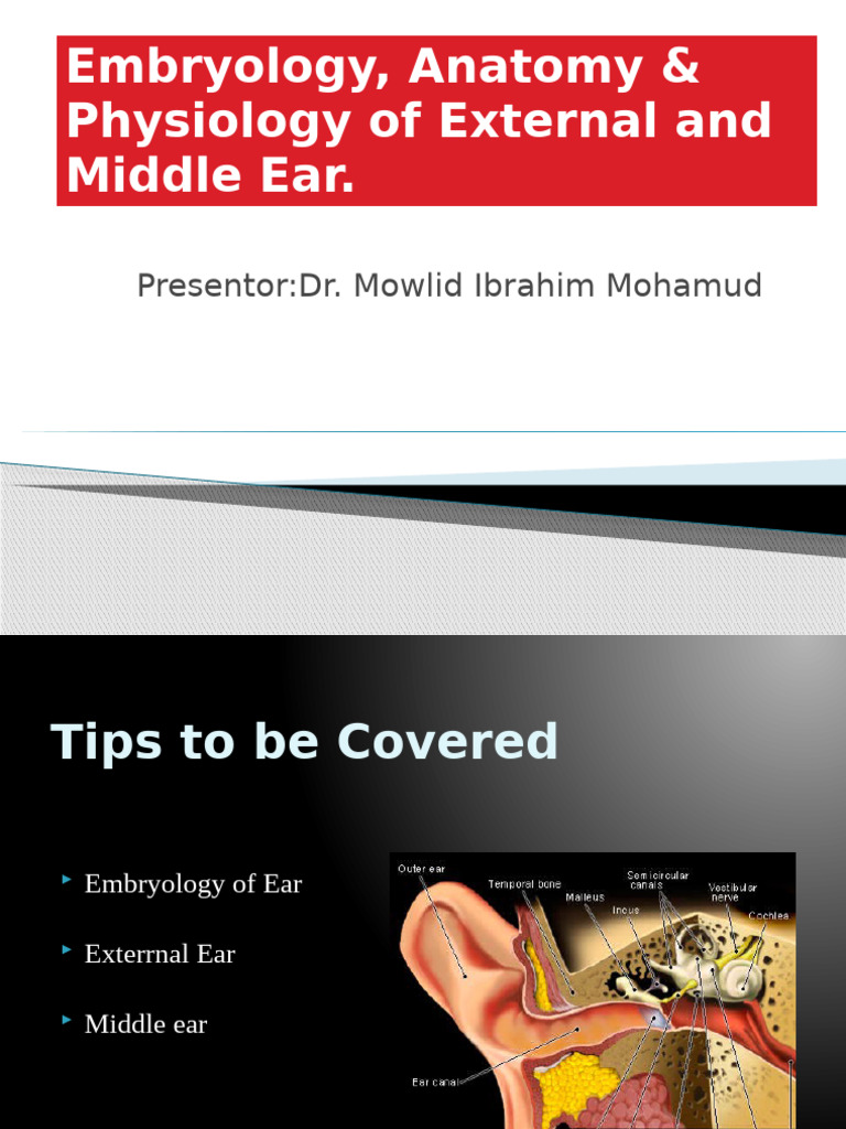 Anatomy, Embryology & Physiology of External and | PDF