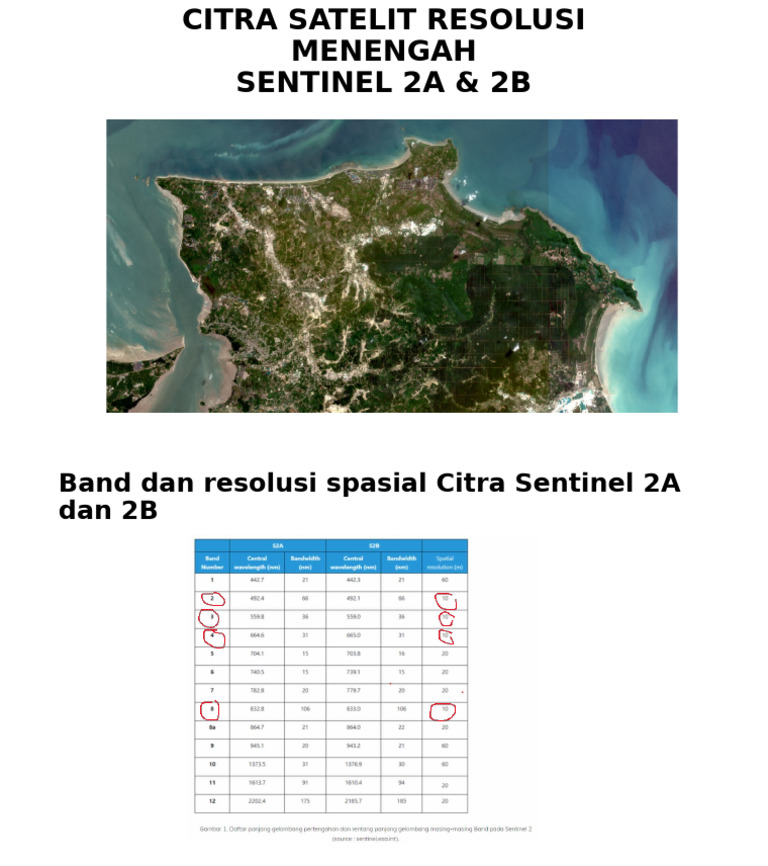 CITRA SATELIT RESOLUSI MENENGAH | PDF