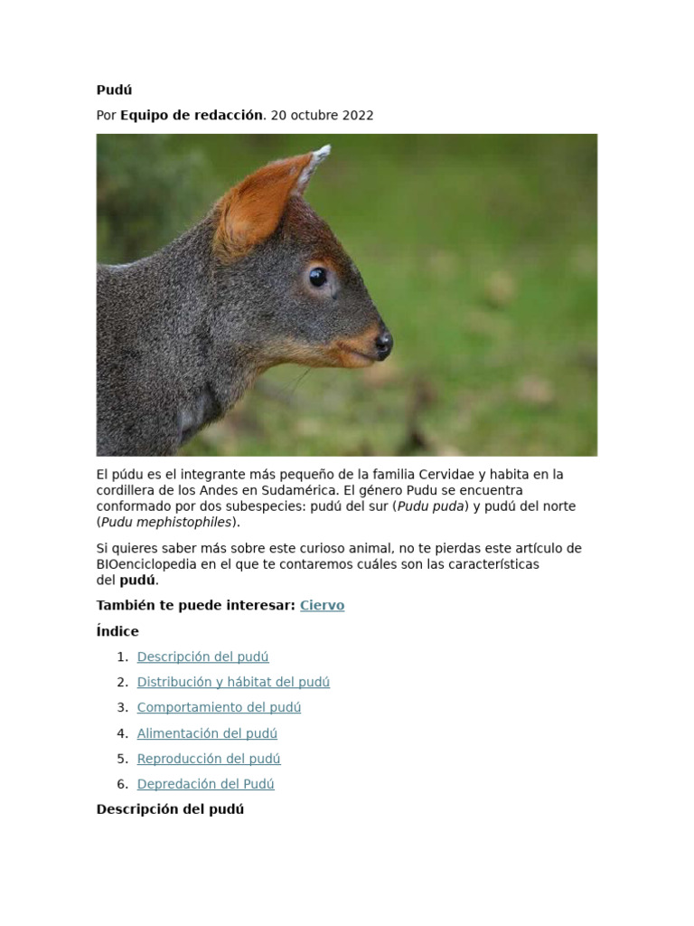 El Pudú | PDF