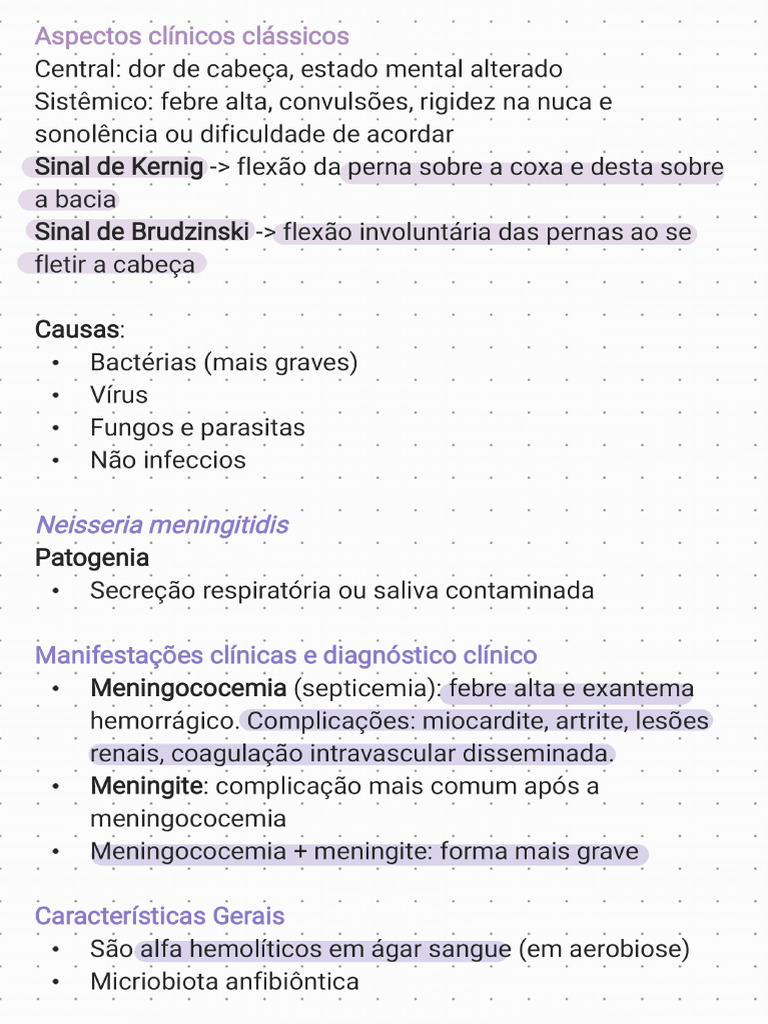 Meningite 230625 192713 Pdf