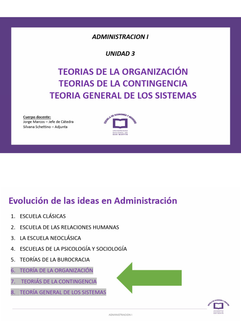 03_Teoria de La Organizacion y Teoria General de Los Sistemas | PDF