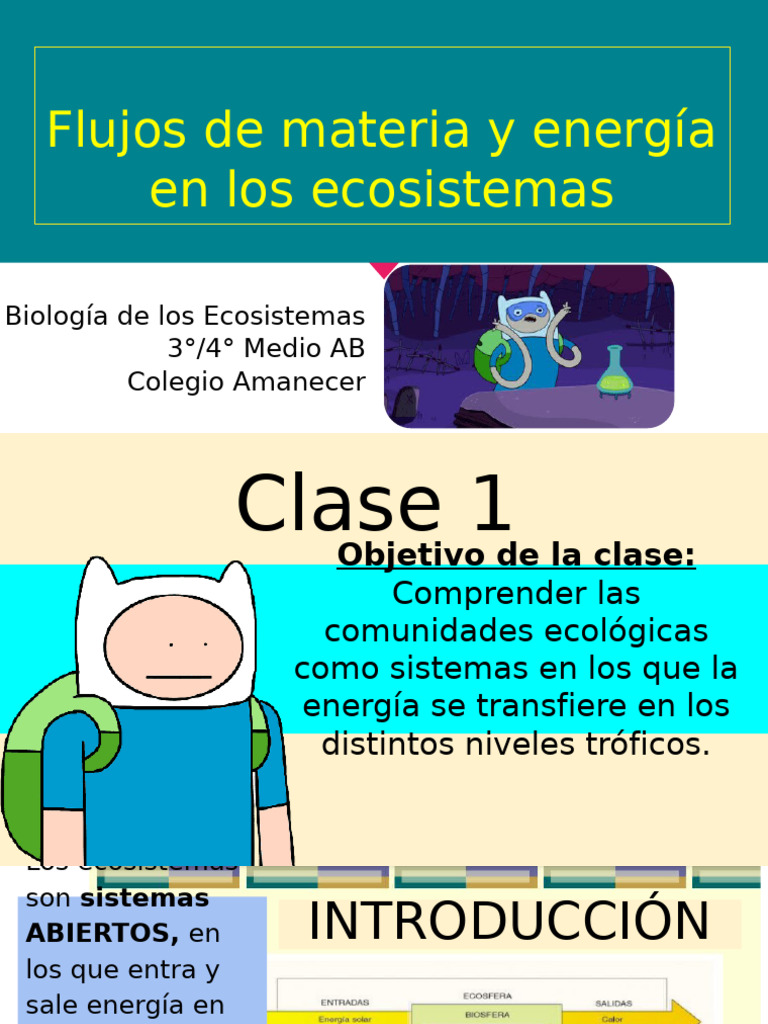 BdE - Flujos de Materia y Energía en Los Ecosistemas | PDF