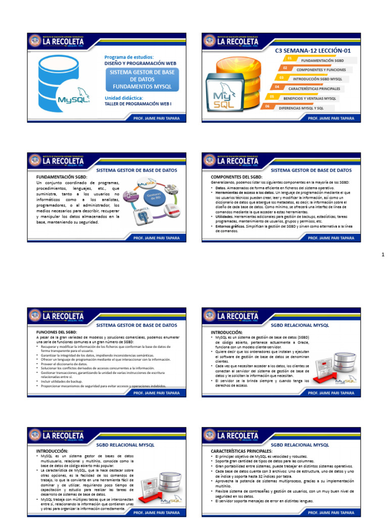 SEM-12 Presentacion | PDF