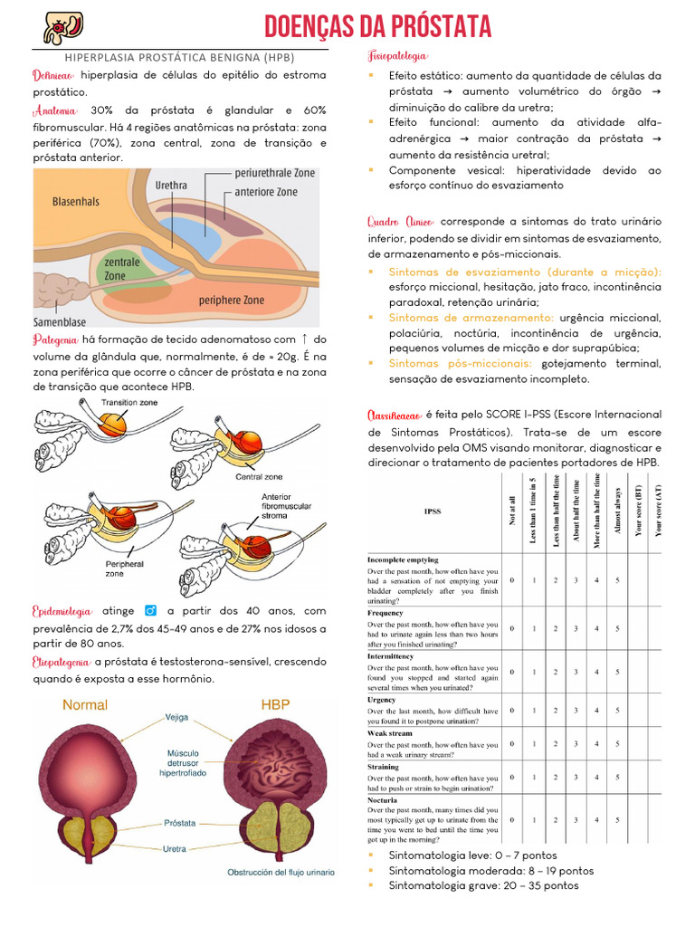 HPB e ca de prostata | PDF