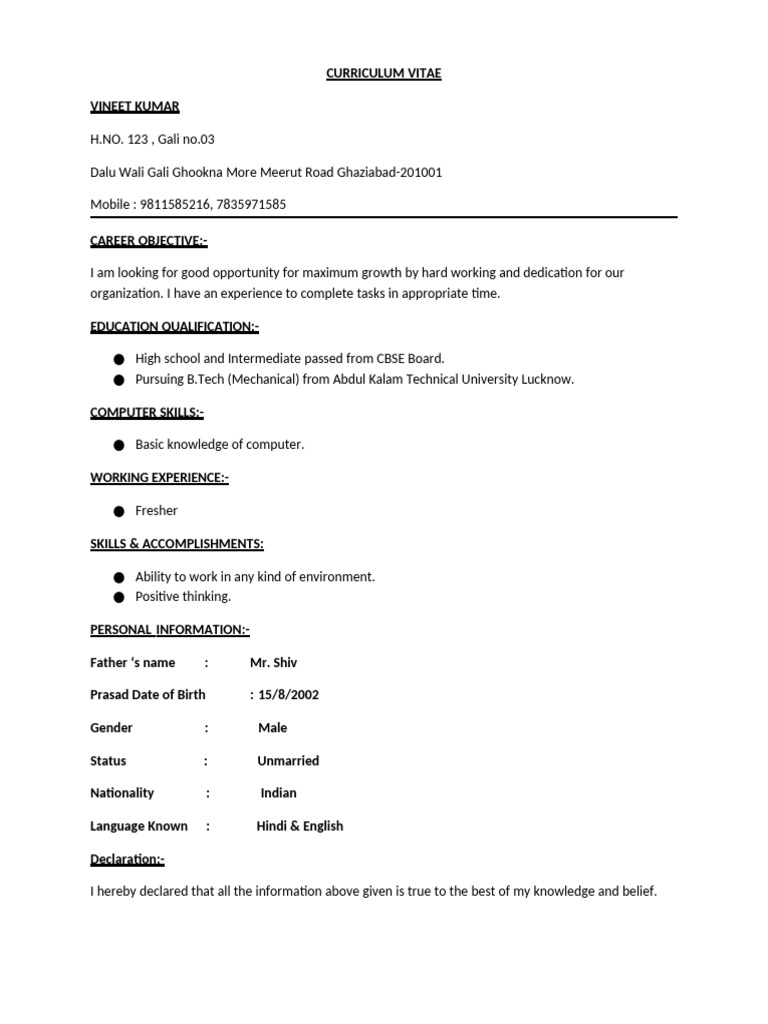 Curriculum Vitae Vineet | PDF