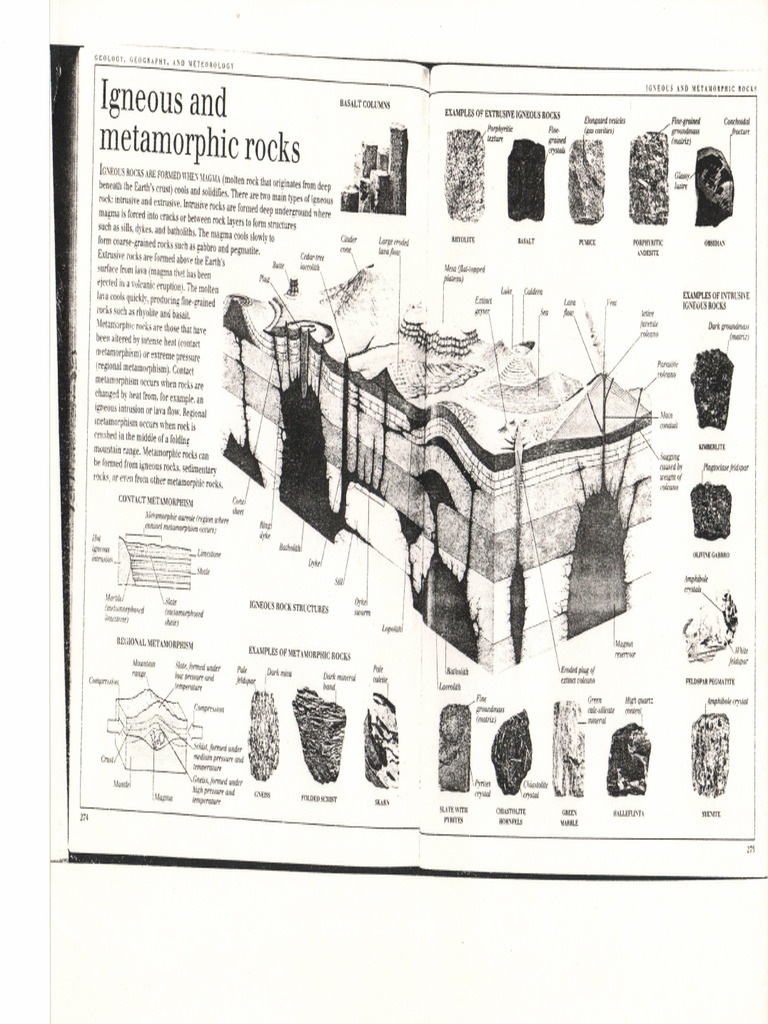 Igneous and Metamorphic Rocks | PDF