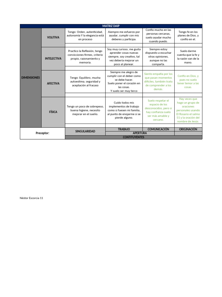 Matriz Daip Ejemplo (2) 2 | PDF