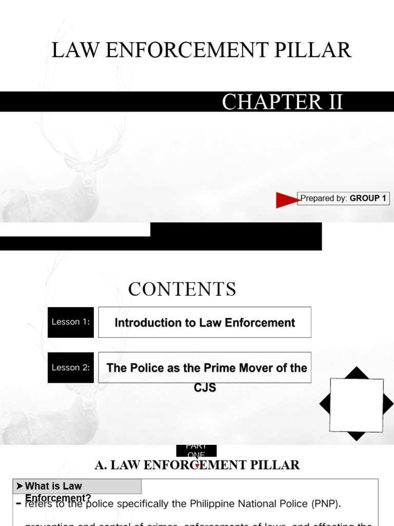 Law Enforcement Pillar.1710165004879 | PDF