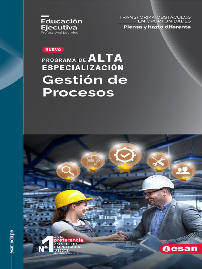 PAE Gesti N de Procesos Compressed 3 | PDF