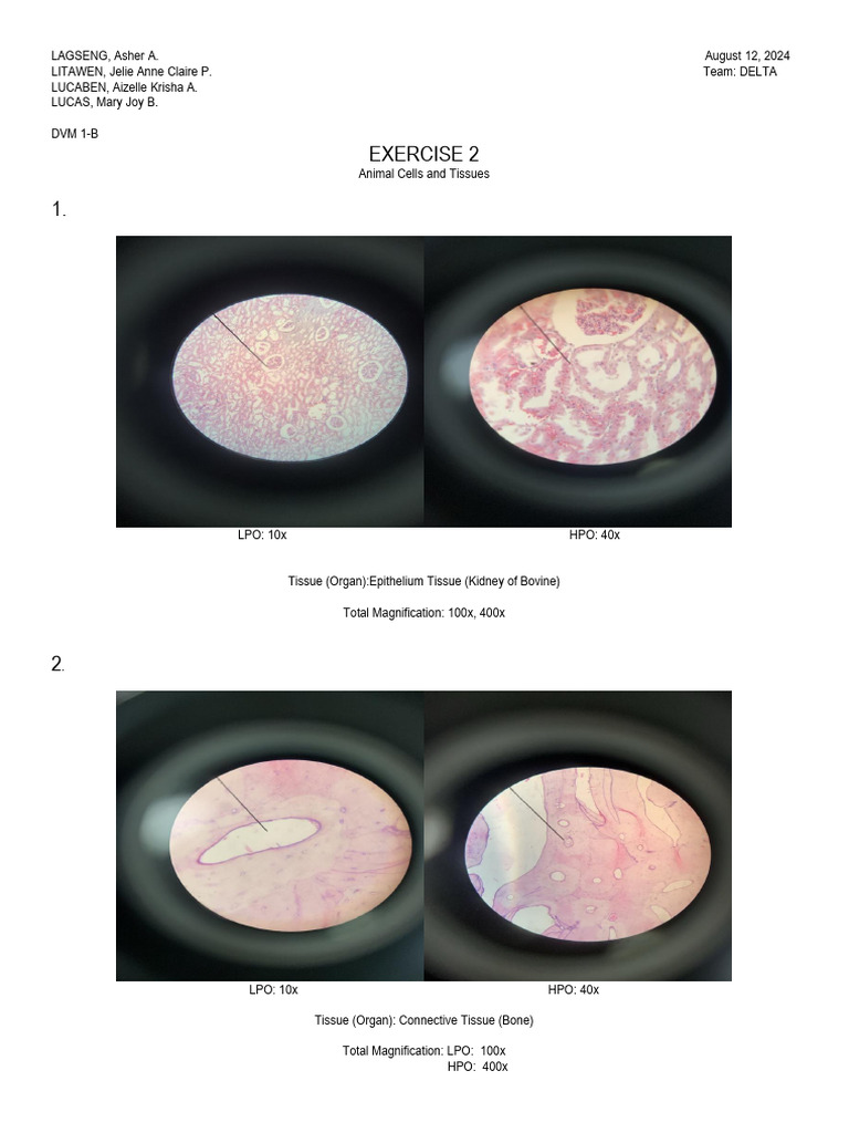 EXER2 Team DELTA | PDF
