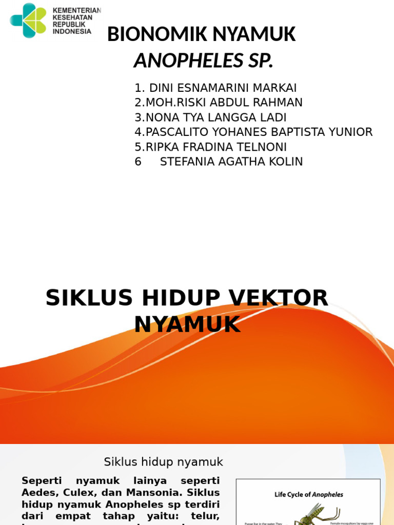 Tugas Anopheles PPT - PPTX Fiks | PDF